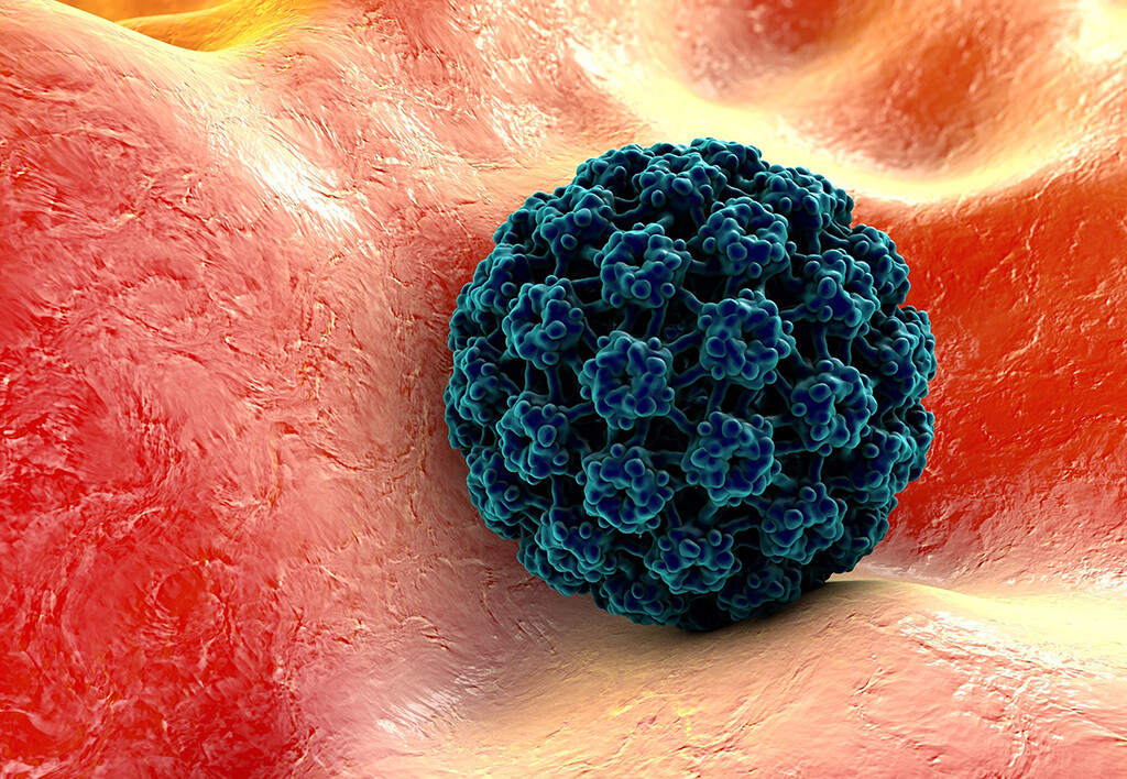Krebs-Erkrankungen der Haut durch das Humane Papillomvirus vorbeugen