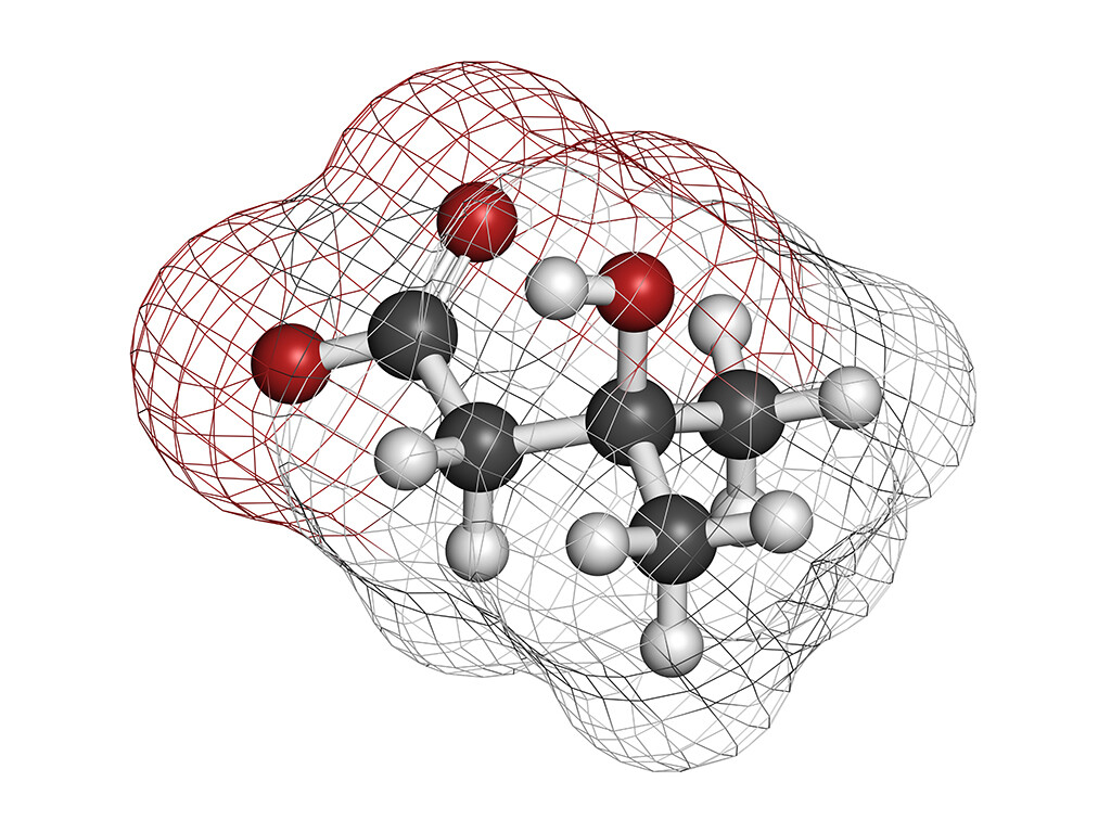 Hydroxymethylbutyrat – Aminosäure HMB im Rampenlicht