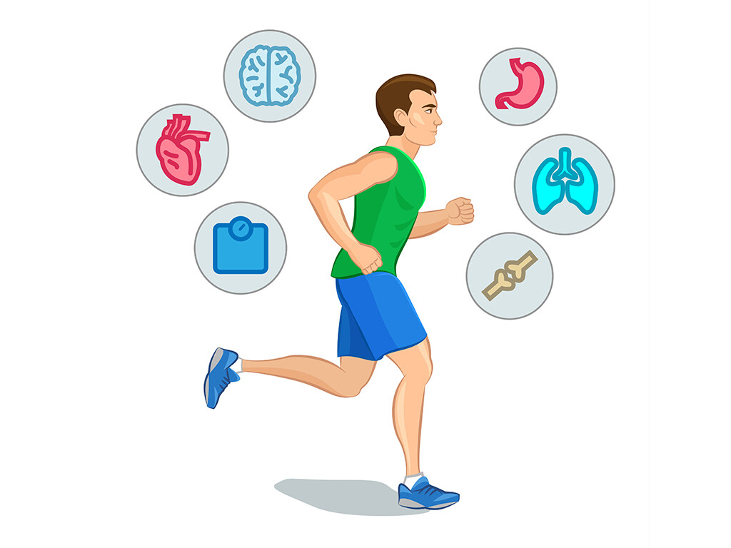 Das menschliche Gehirn durch körperliche Fitness in Schwung halten