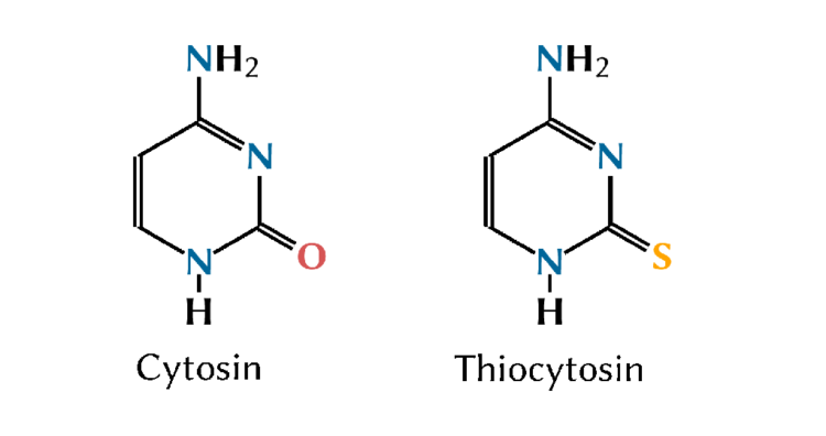 Anregung von Thiocytosin durch UV-Licht - MedMix