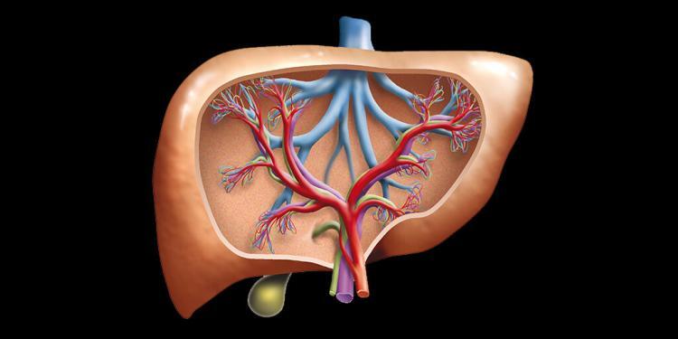 Portale Hypertension mit Pfortaderdruckmessung untersuchen - MedMix