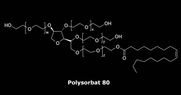 Polysorbat 80 macht E.coli-Bakterien harmlos - MedMix