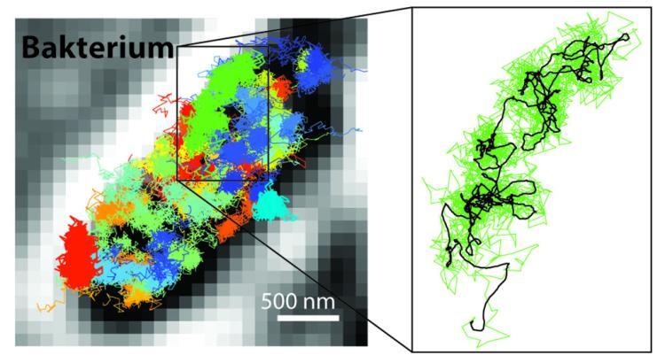 MINFLUX – Ultimative Auflösungsgrenze in der Fluoreszenzmikroskopie ...