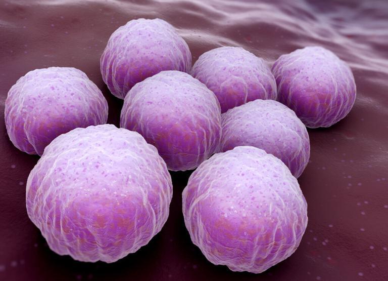 Chlamydien-Infektionen und Gonorrhoe früh genug erkennen