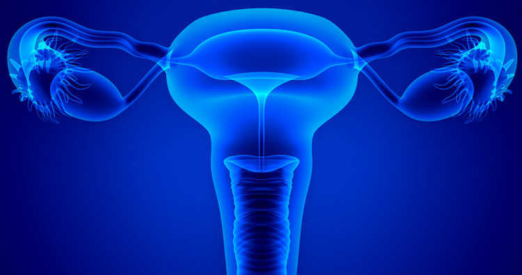 Salpingitis, Entzündung der Eileiter: Ursache und Therapie