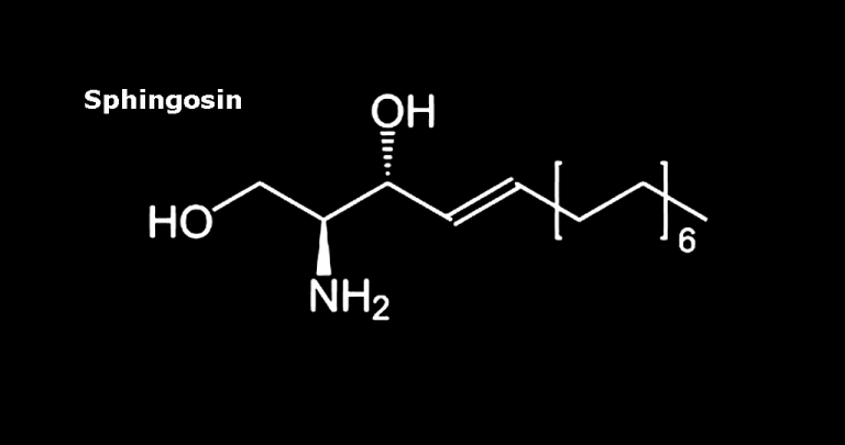 Sphingosin – mögliche Schlüsselrolle bei Morbus Gaucher