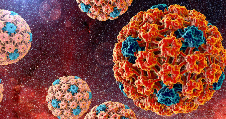 HPV, das Humane Papillomavirus, kann Kopf- und Halskrebs auslösen