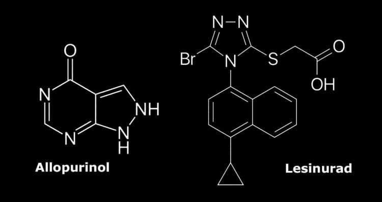 Lesinurad-Allopurinol zur Gicht-Behandlung - MedMix