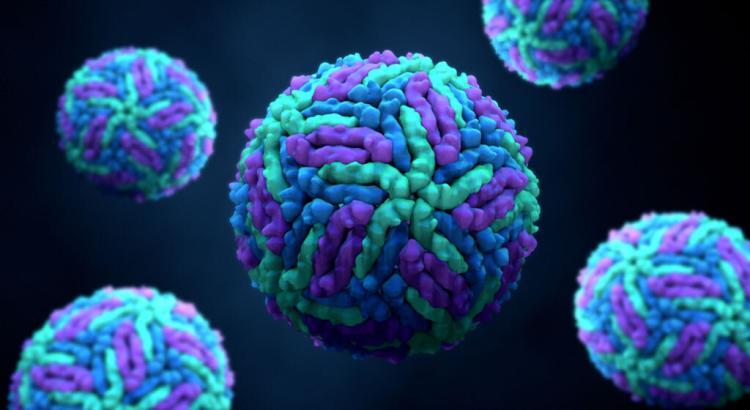 Notwendige neue Klassifizierung von Viren hat positive Auswirkungen